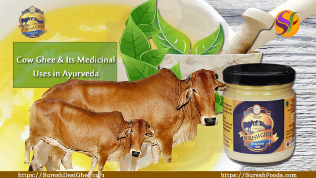 Desi Cow Ghee Benefits In Ayurveda