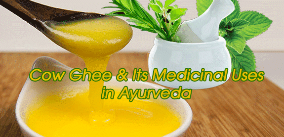 Cow Ghee & Its Medicinal Uses in Ayurveda | SureshFoods.com