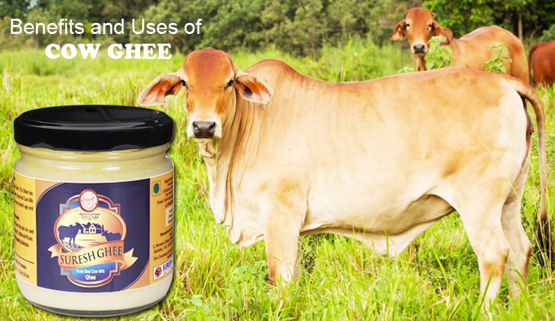 Benefits and Use of Cow Ghee | SureshFoods.com