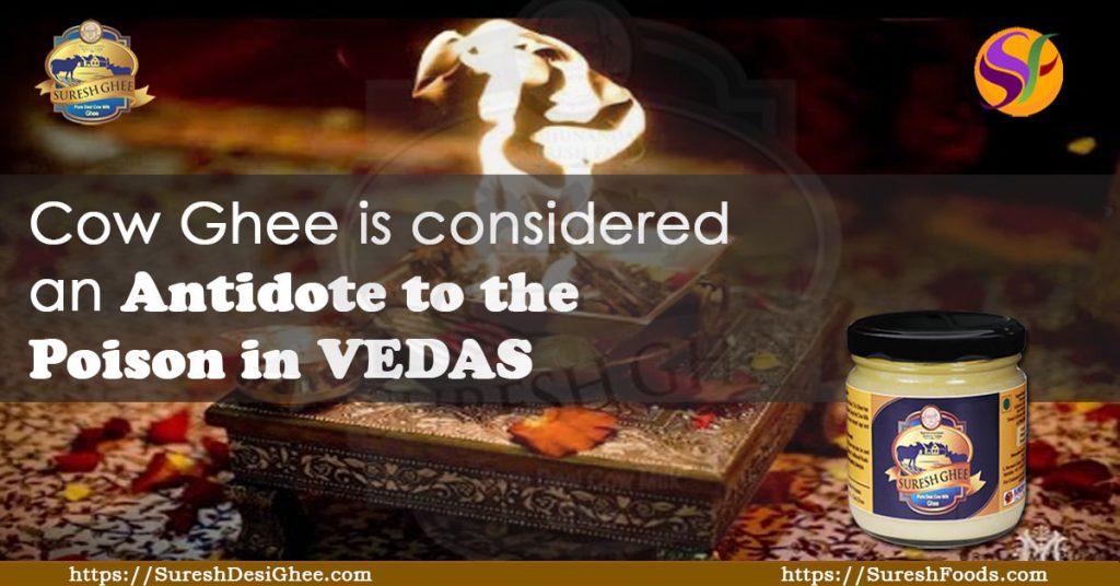 Cow Ghee in Yagna (Havan) | SureshFoods.com