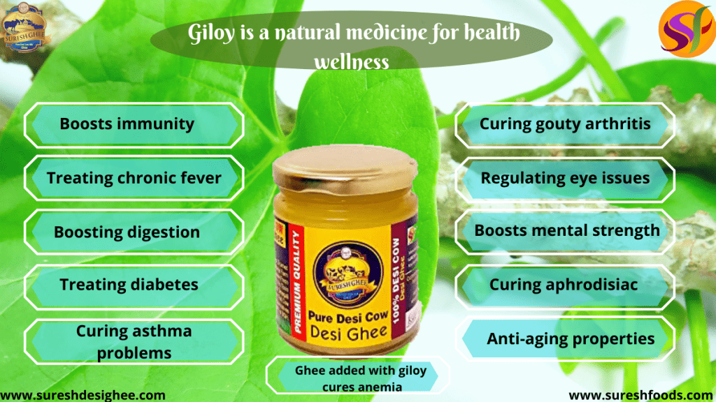 What is giloy and its benefits? | SureshFoods.com